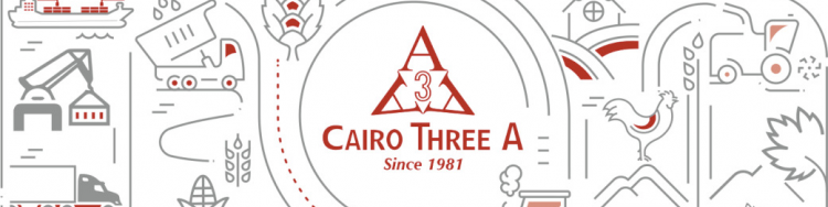 Jobs and Careers at Cairo Three A for International Industries. in ...