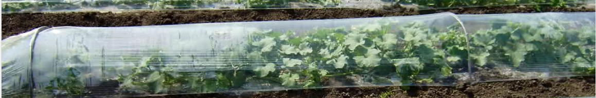 Jobs and Careers at Hyma Plastic - Hyma Foam in Egypt – Join Us Today!