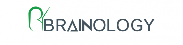 Jobs and Careers at Brainology in Egypt – Join Us Today!