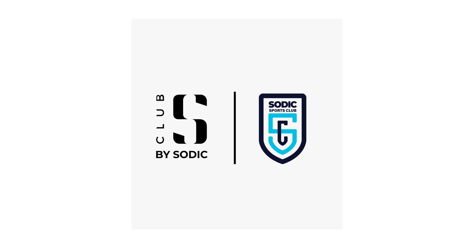 Junior Architect job at SODIC Clubs in 6th of October, Giza – Apply on ...