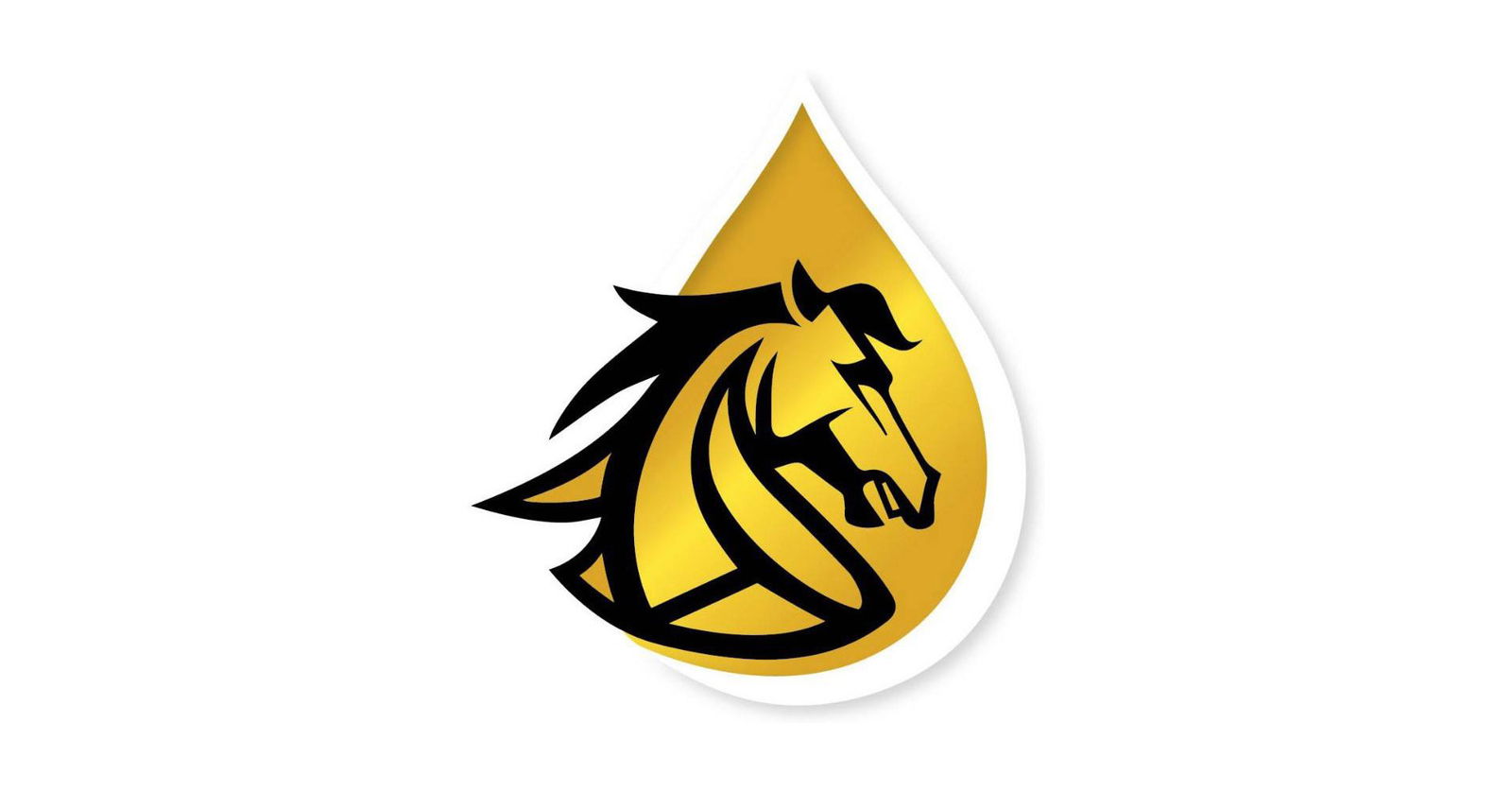 Industrial Lubricants Sales Representatives - All Governorates of Egypt ...