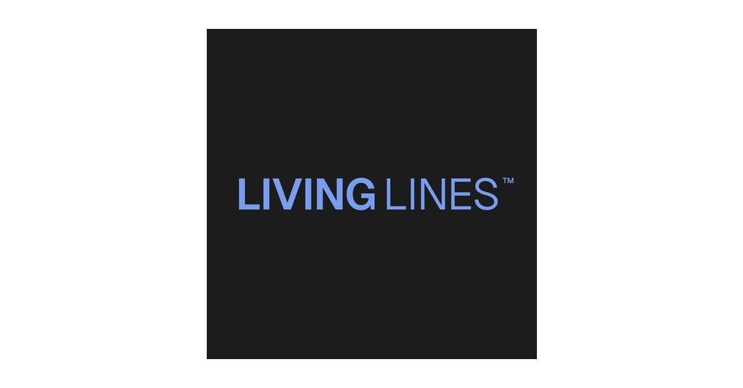 IT Account Manager job at Living Lines Developments in New Cairo, Cairo – Apply on Wuzzuf