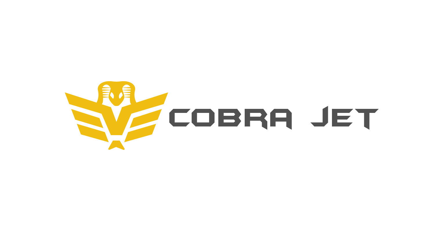 Jobs and Careers at Cobra Jet Aviation in Egypt | join today!
