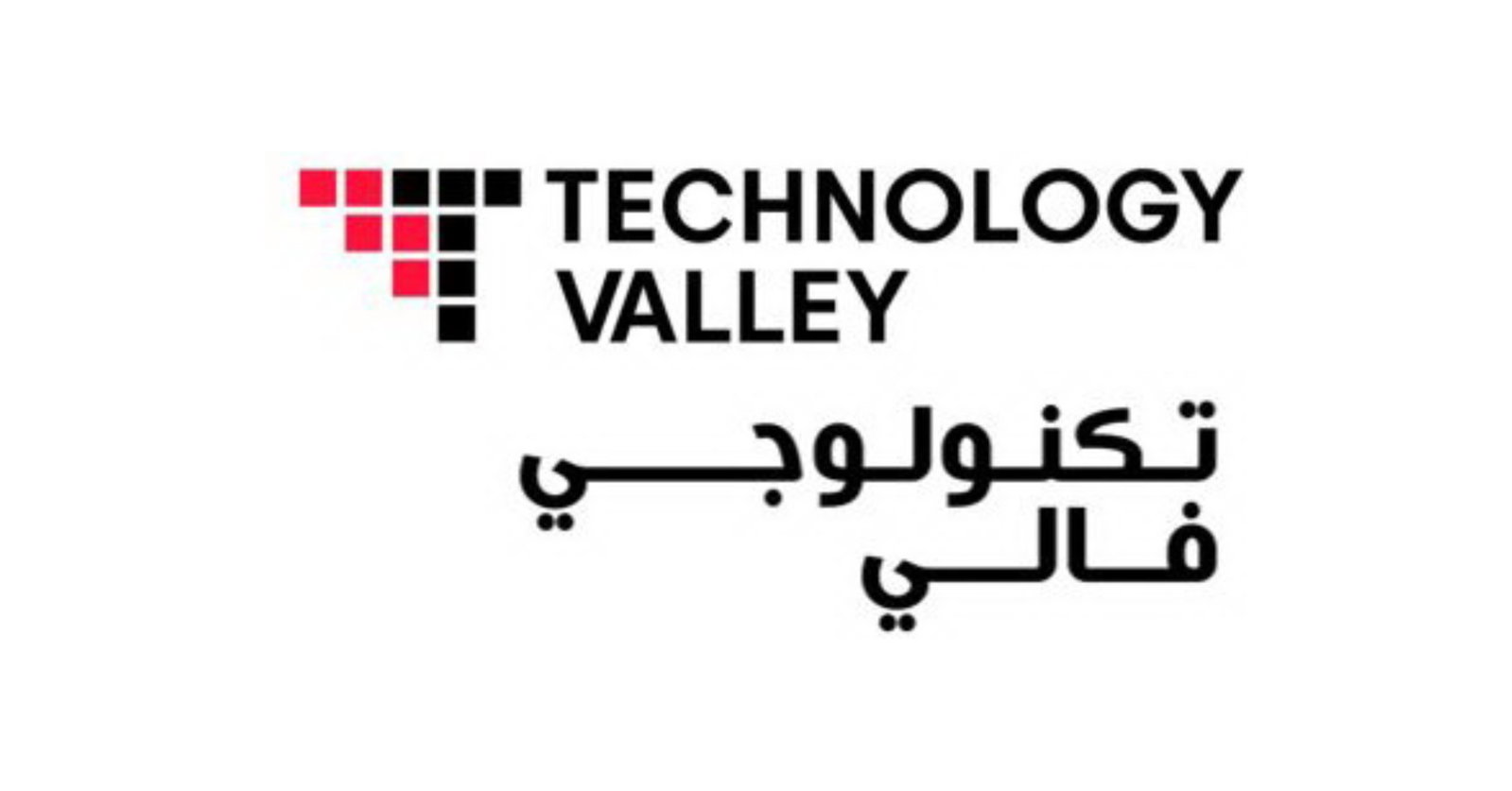 Jobs and Careers at Technology Valley Gate System in Egypt | join today!