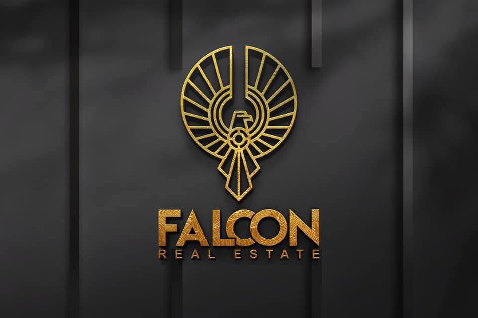 Jobs and Careers at Falcon Real Estate, Egypt | WUZZUF