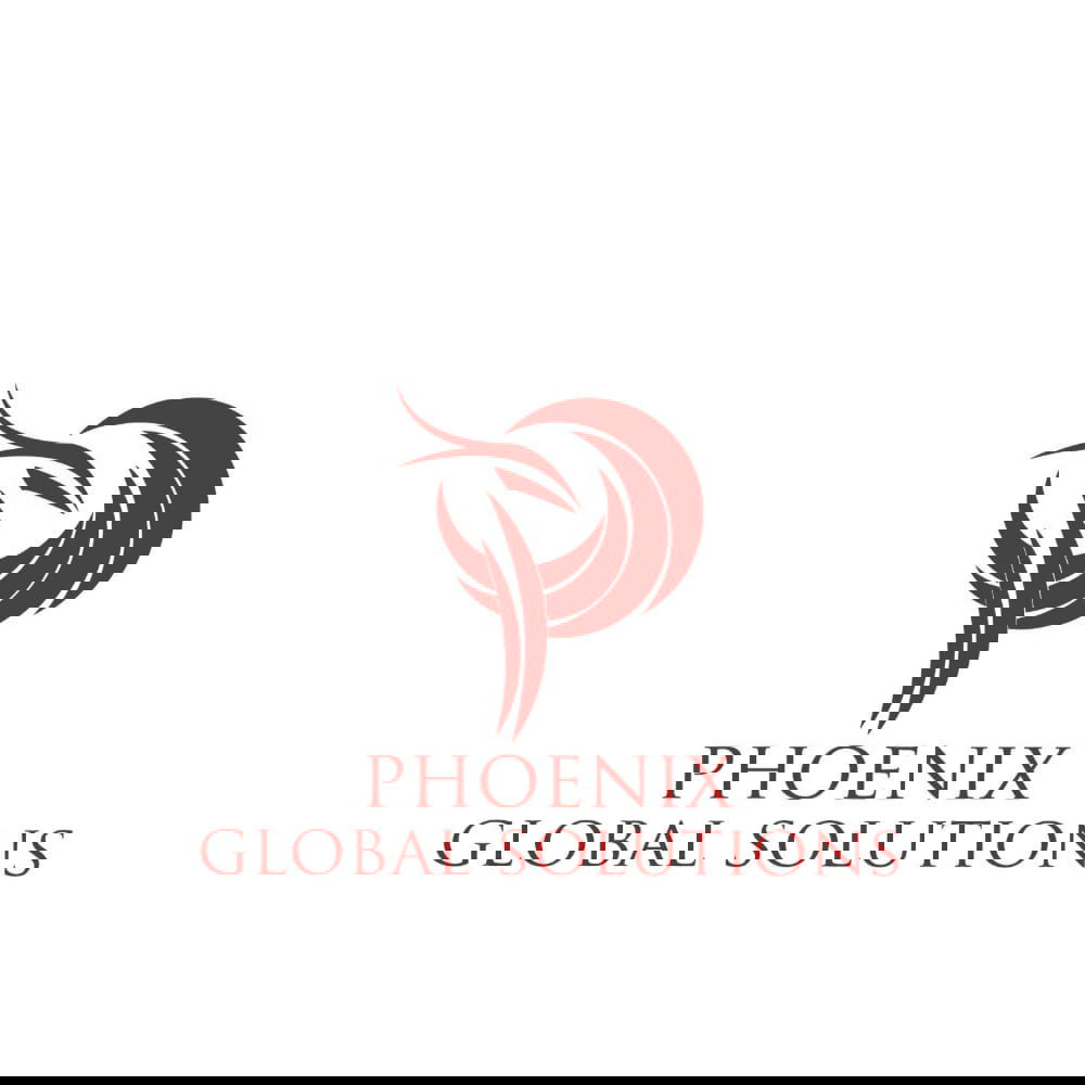 Jobs and Careers at Phoenix Global Solutions in Egypt – Join Us Today!