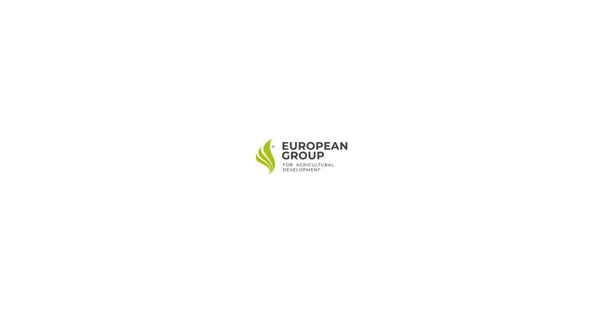Jobs and Careers at European Group in Egypt | join today!
