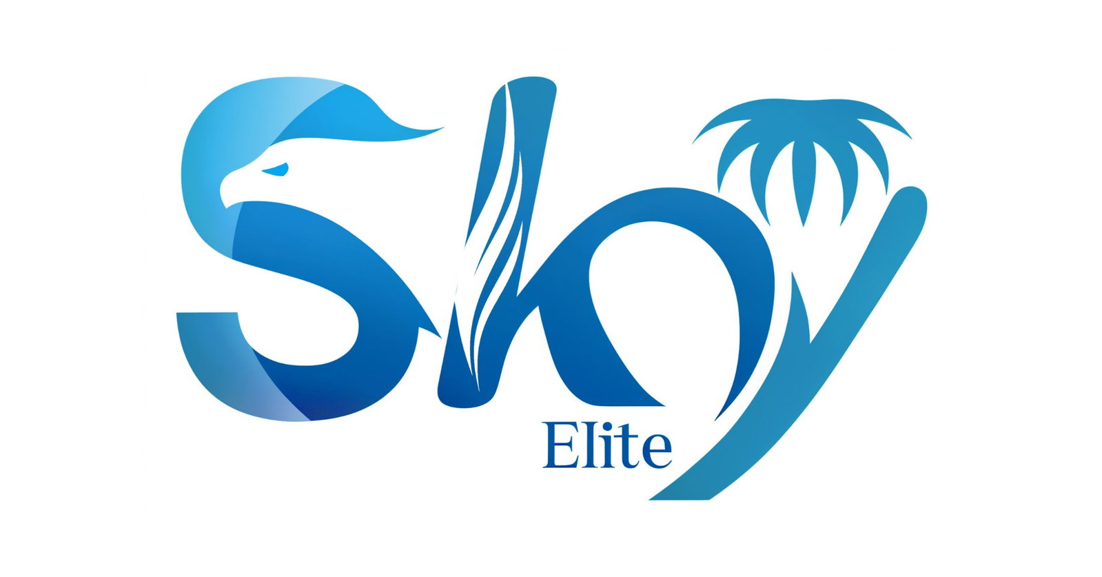 Computer science instructor job at Sky Elite in Dammam, Saudi Arabia ...