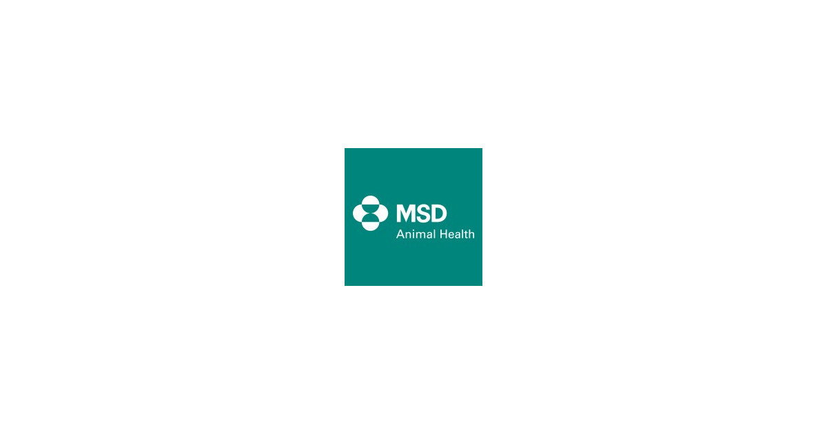Associate Director Marketing Oncology job at MSD Animal Health Ireland ...