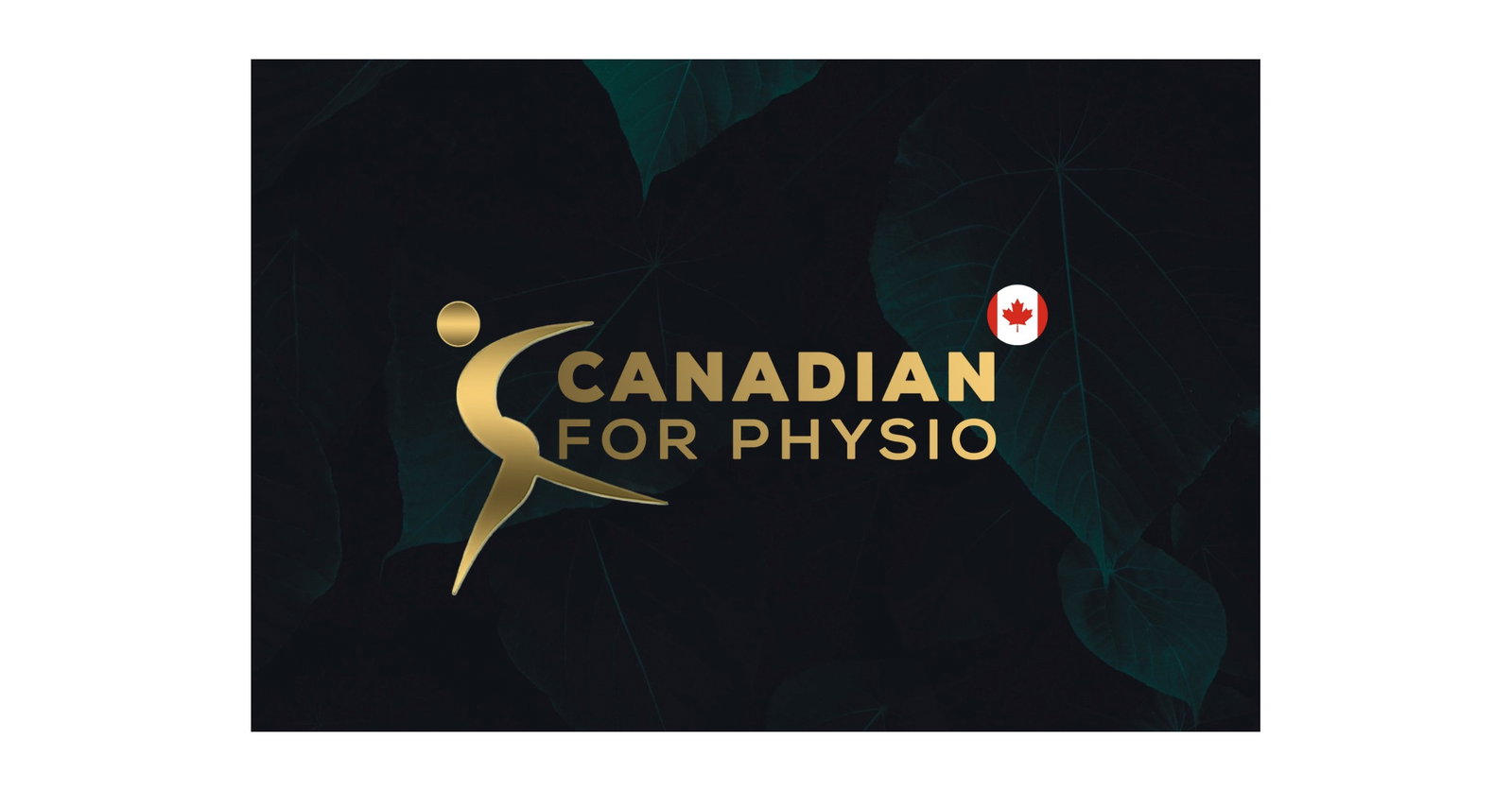 Jobs and Careers at Canadian for physio in Egypt | join today!