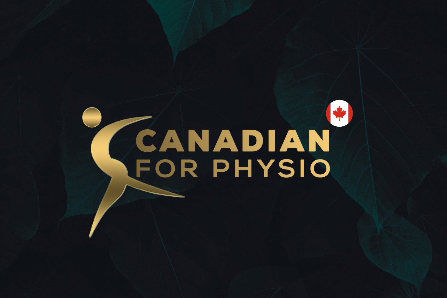 Jobs and Careers at Canadian for physio in Egypt – Join Us Today!