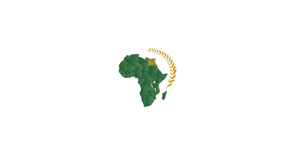 Fresh Accountant job at Afri-Vision for Import and Export in Sidi Bishr ...