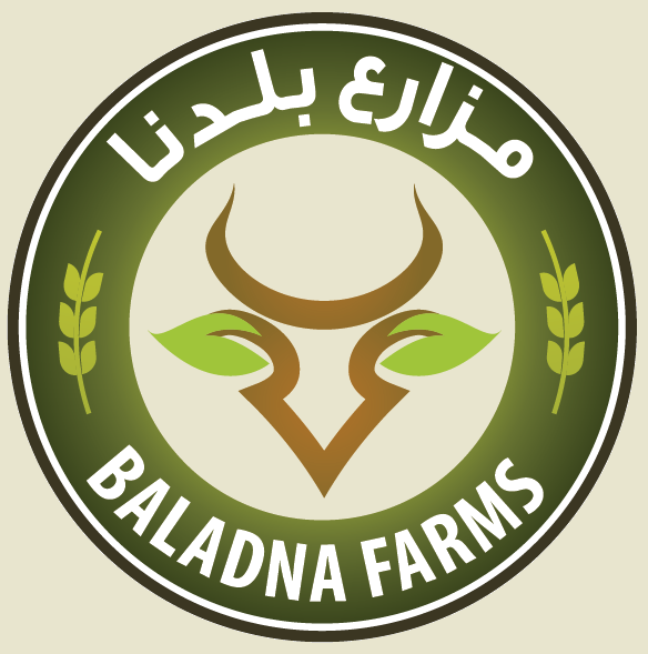 Jobs and Careers at Baladna Farms in Egypt – Join Us Today!