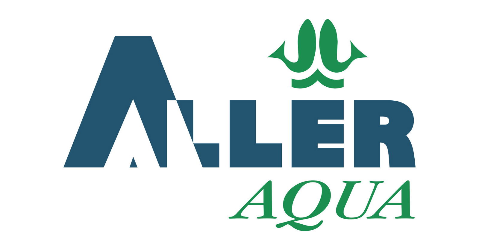 Senior General Accountant job at Aller Aqua Egypt in 6th of October, Giza – Apply on Wuzzuf