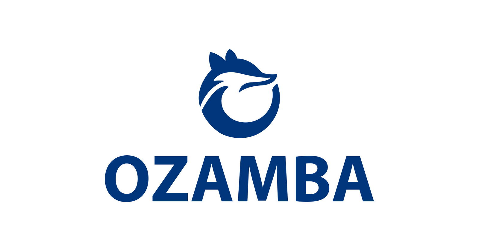 UX UI design Intern at OZAMBA| Paris, France on Wuzzuf | France