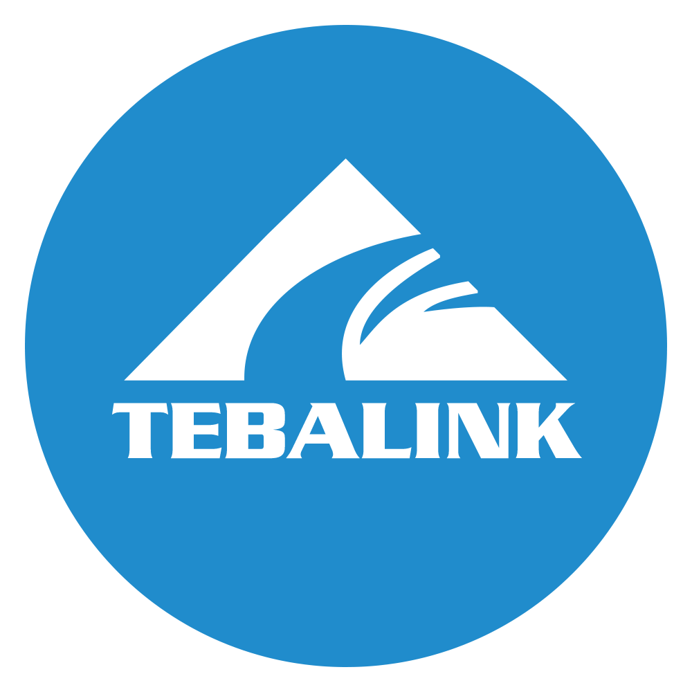 Jobs and Careers at Tebalink, Egypt | WUZZUF