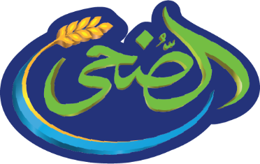 Jobs and Careers at EL Doha in Egypt – Join Us Today!