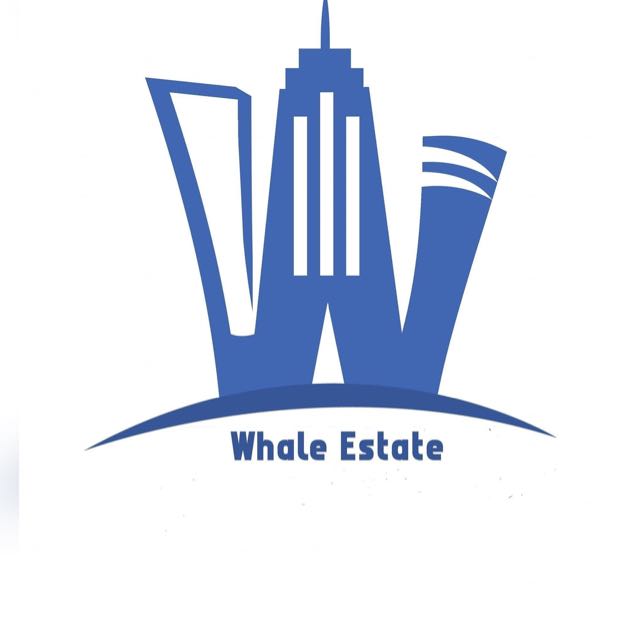 Jobs and Careers at Whale Estate, Egypt | WUZZUF
