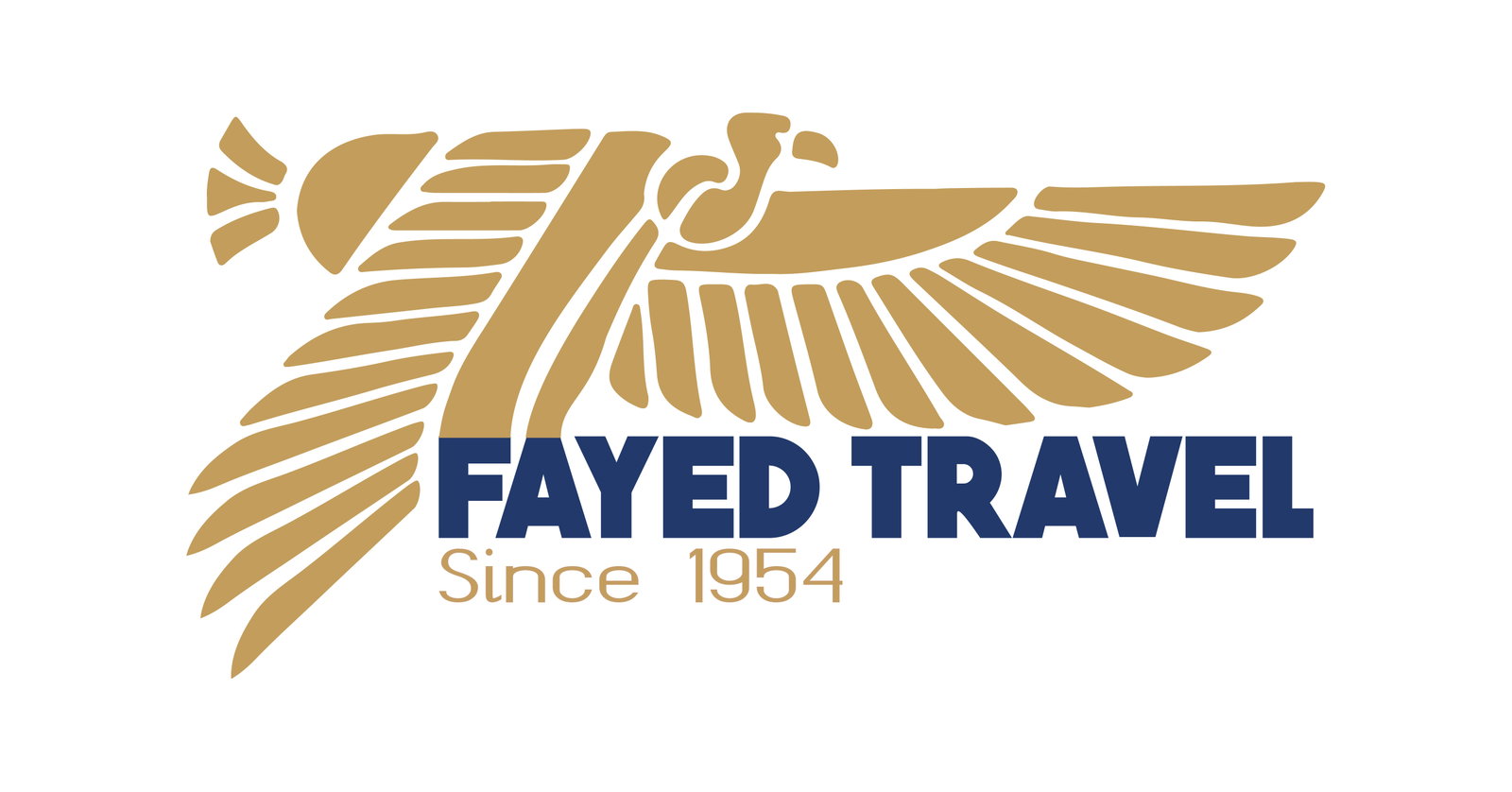 Tour Operator job at Fayed Travel in Downtown, Cairo – Apply on Wuzzuf