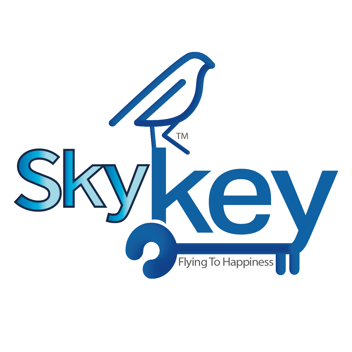 Jobs and Careers at sky key, Egypt | WUZZUF