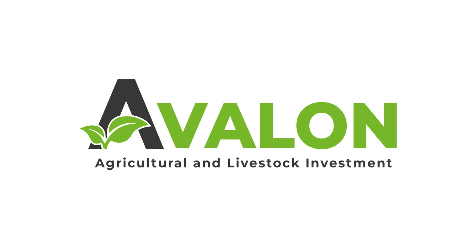 Business Development Executive job at AVALON CO. in Alexandria, Egypt ...