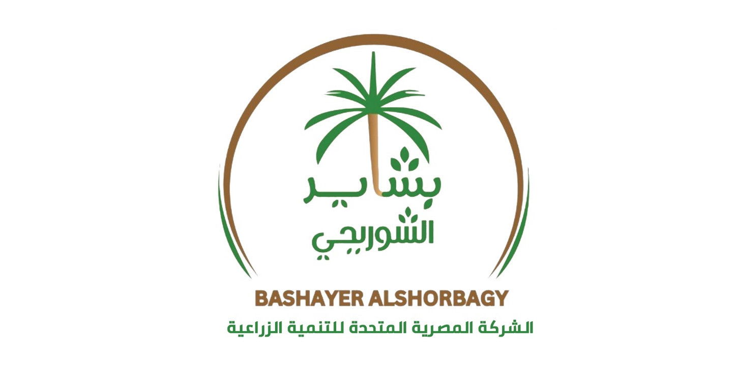 Jobs and Careers at Bashayer Alshorbagy in Egypt – Join Us Today!