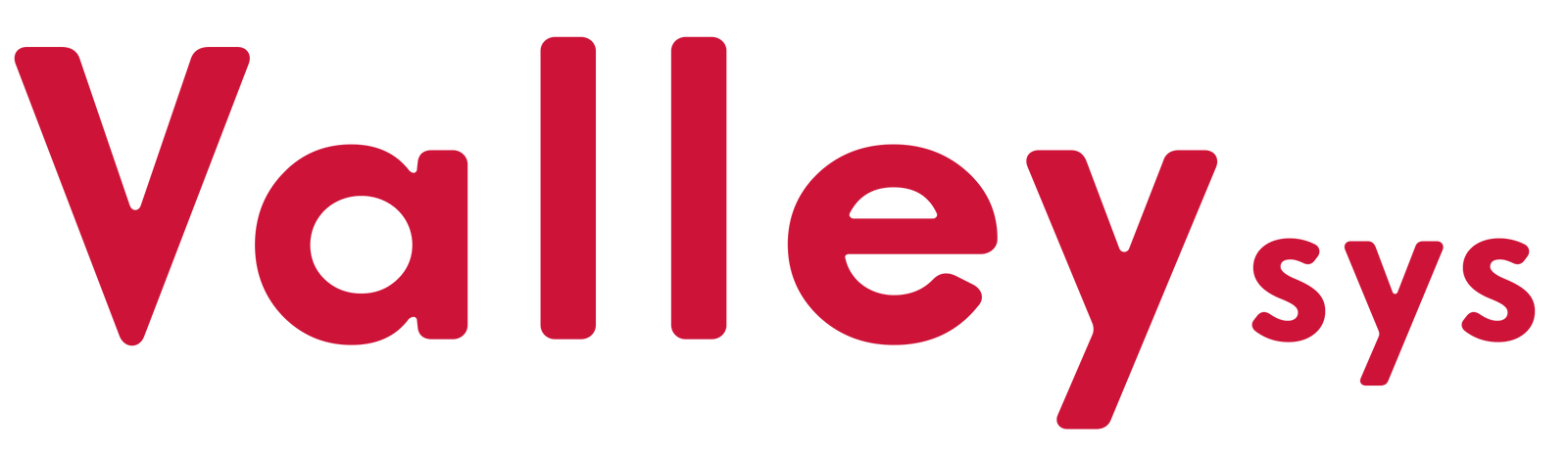 Jobs and Careers at Valley Sys in Egypt – Join Us Today!