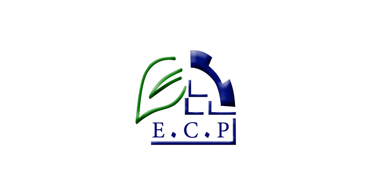 Accountant job at The Egyptian Co. For Manufacturing Perlite in 6th of October, Giza – Apply on ...