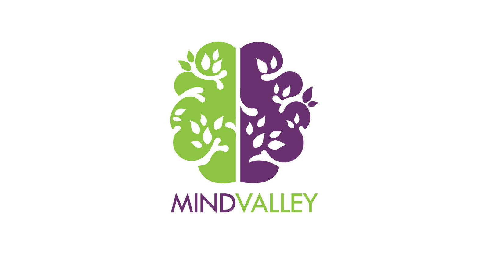 Jobs and Careers at Mind Valley in Egypt | join today!