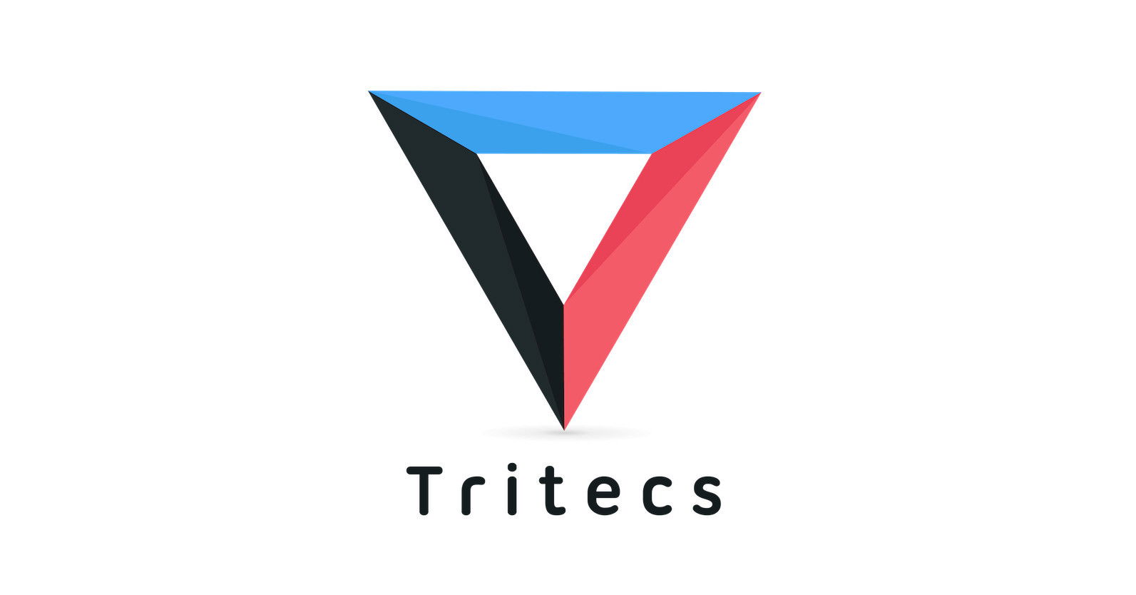 Senior Front End Developer Angular React Js Is A Plus Job At Tritecs In Cairo Egypt Apply