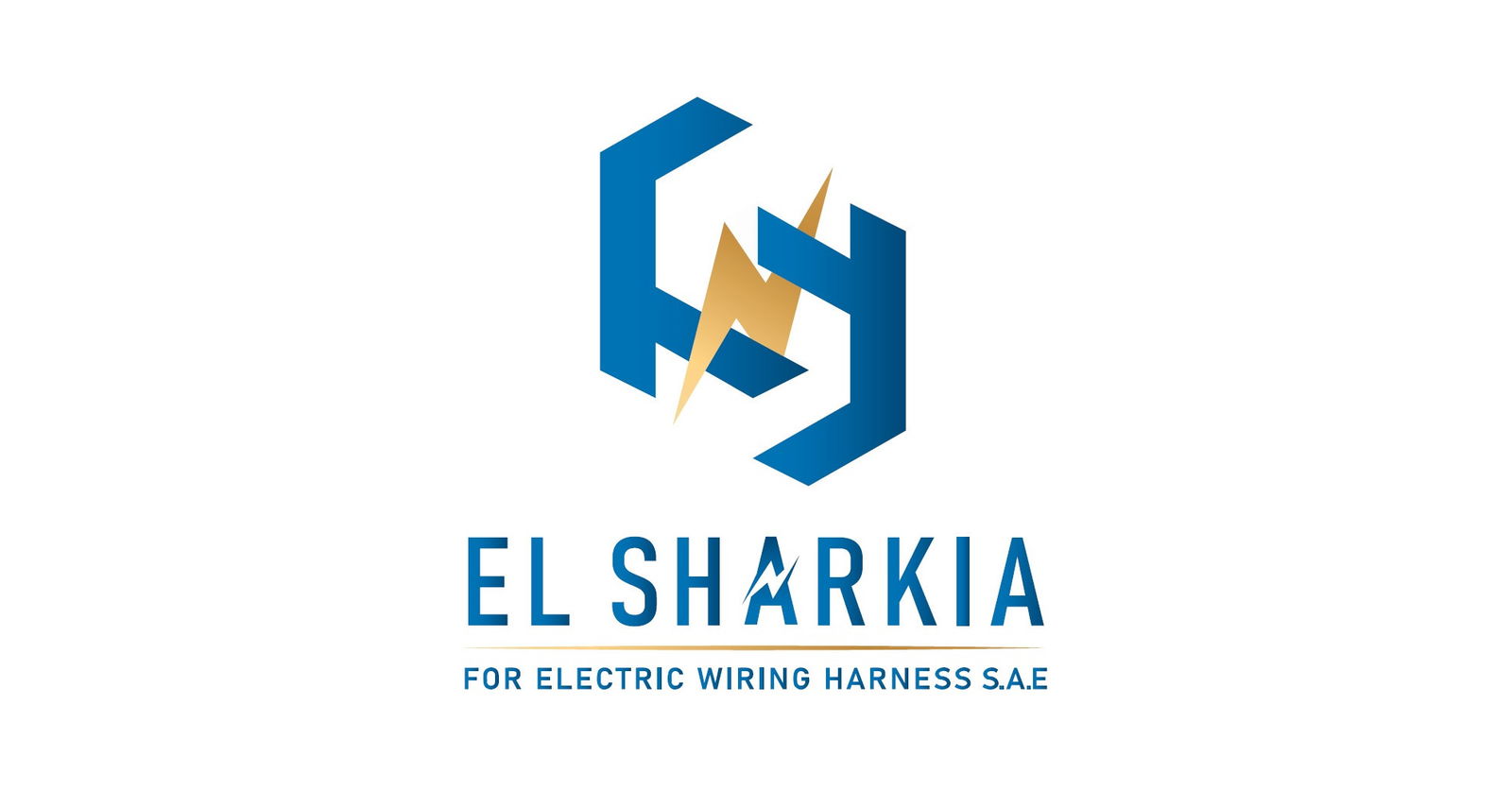 General Ledger Accountant job at الشرقية للضفائر الكهربائية -elsharkia ...