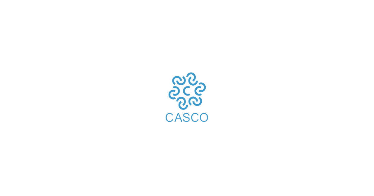 UI UX Designer job at CASCO Group in Cairo, Egypt – Apply on Wuzzuf