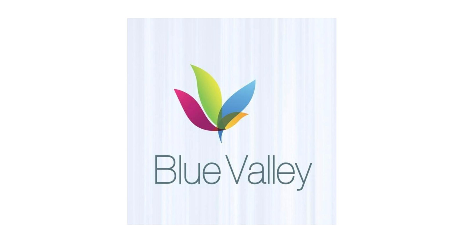 Jobs and Careers at Blue Valley Properties in Egypt | join today!