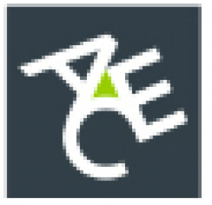 Jobs and Careers at ACE LIFE Insurance, Egypt | WUZZUF