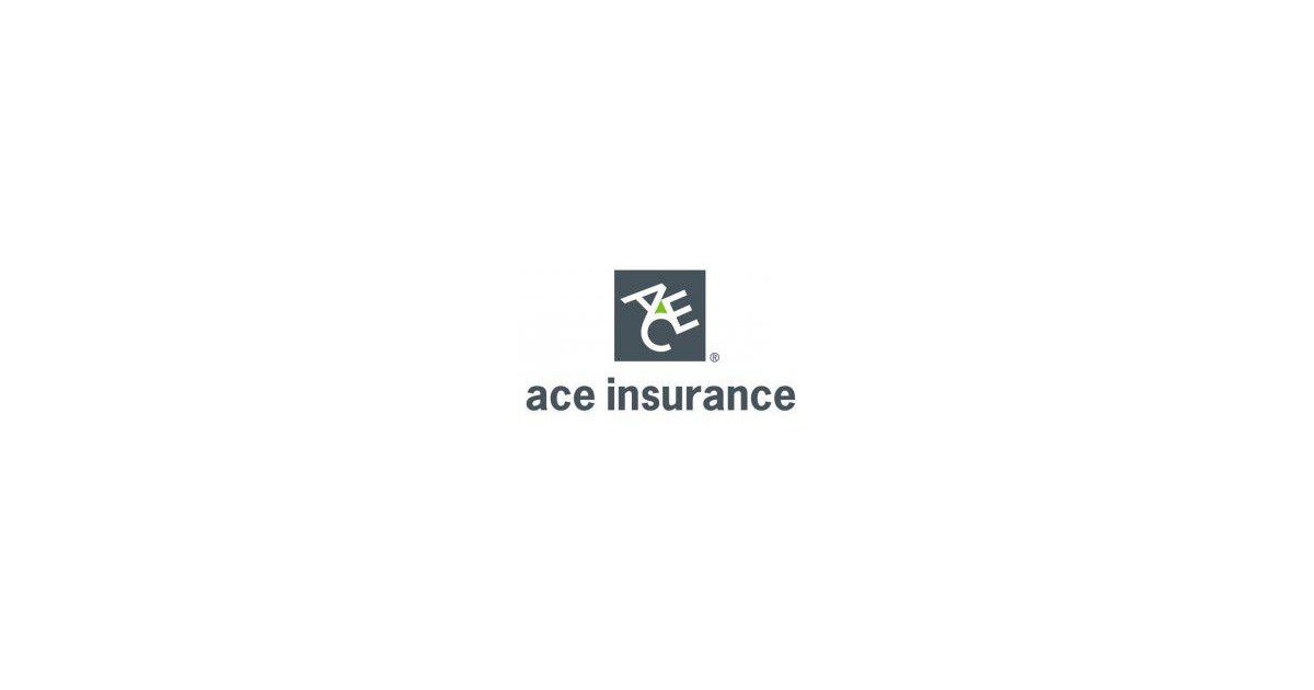 Jobs and Careers at ACE Life Insurance, Egypt | WUZZUF