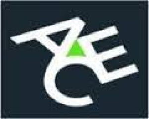 Jobs and Careers at ACE Life Insurance, Egypt | WUZZUF