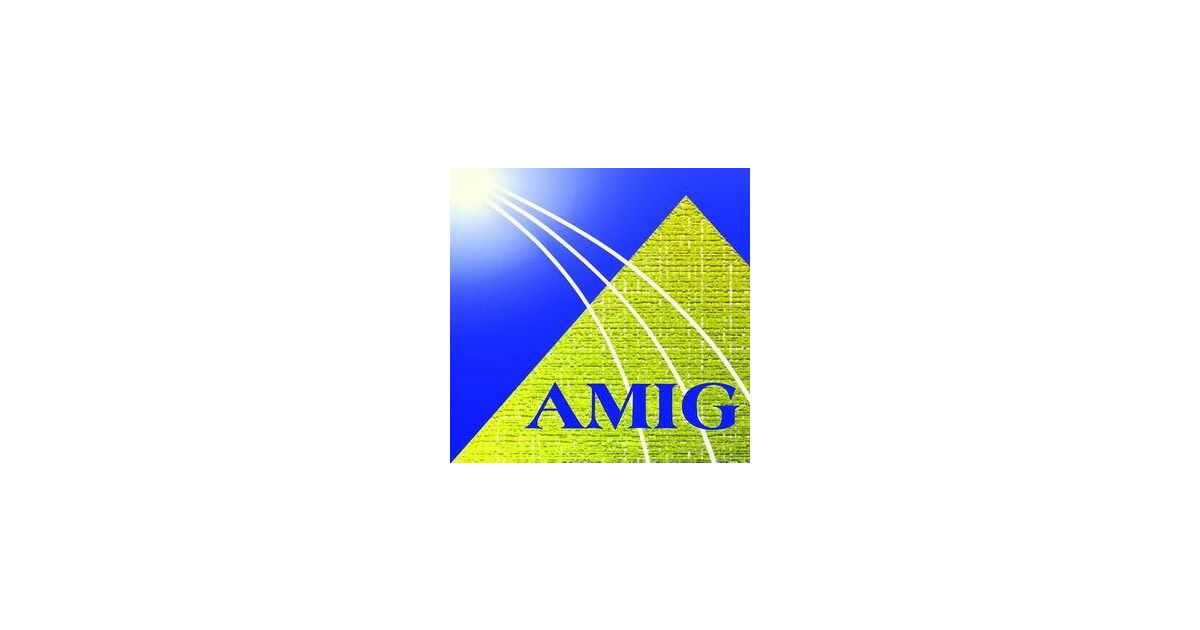 Jobs and Careers at AMIG in Egypt – Join Us Today!