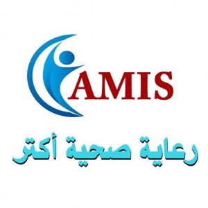 Jobs and Careers at AMIS in Egypt – Join Us Today!