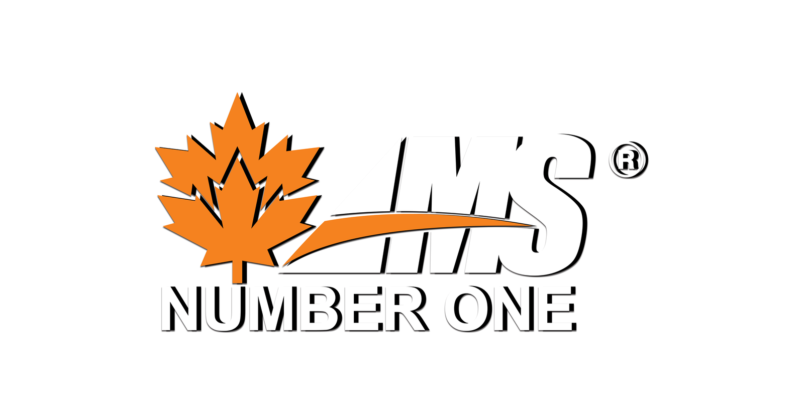 Jobs and Careers at AMS Number One in Egypt – Join Us Today!