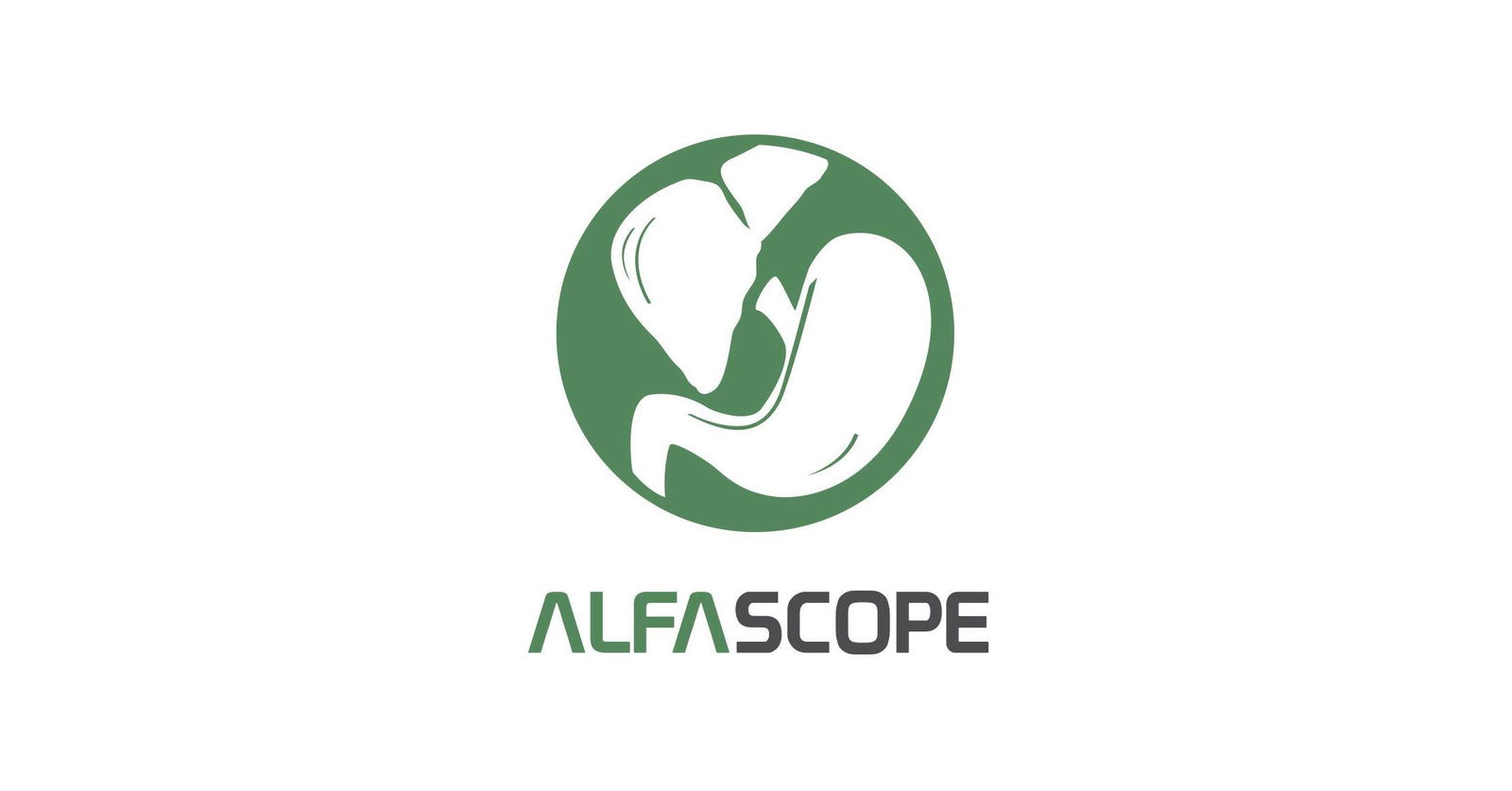 Jobs and Careers at Alfa Scope Company in Egypt | join today!