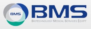 Jobs and Careers at BMS Egypt, Egypt | WUZZUF