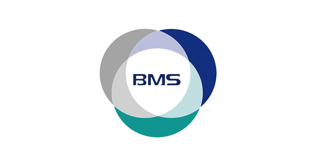 Jobs and Careers at BMS Egypt in Egypt | join today!