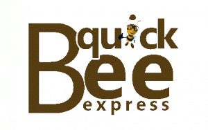 Jobs and Careers at Bee Quick Express, Egypt | WUZZUF