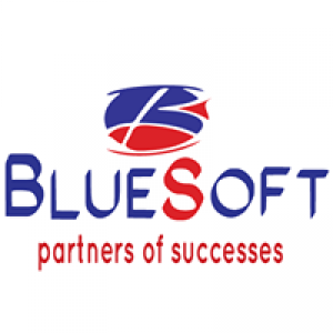 Jobs and Careers at Blue soft Egypt in Egypt – Join Us Today!