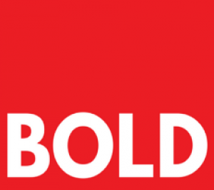 Jobs and Careers at Bold Egypt, Egypt | WUZZUF
