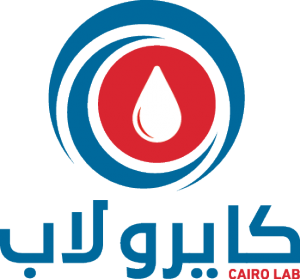 Jobs and Careers at Cairo Lab in Egypt – Join Us Today!