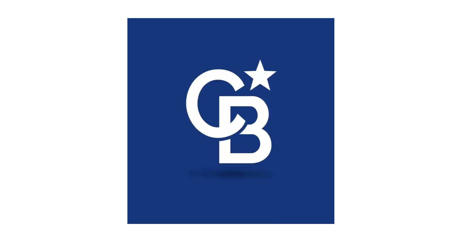 Coldwell Banker Vector Logo Identity Standards By CBSR Marketing