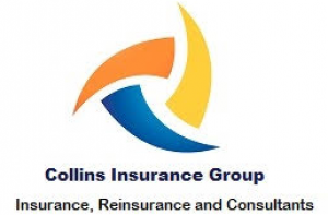 Jobs and Careers at Collins Co, Egypt | WUZZUF