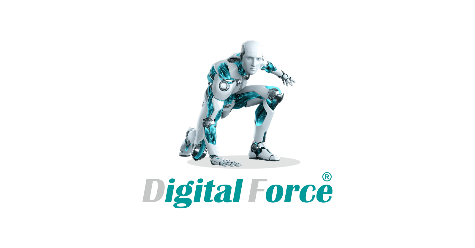 Jobs and Careers at Digital Force in Egypt | join today!