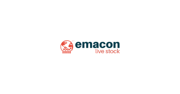Jobs and Careers at EMACON, Egypt | WUZZUF
